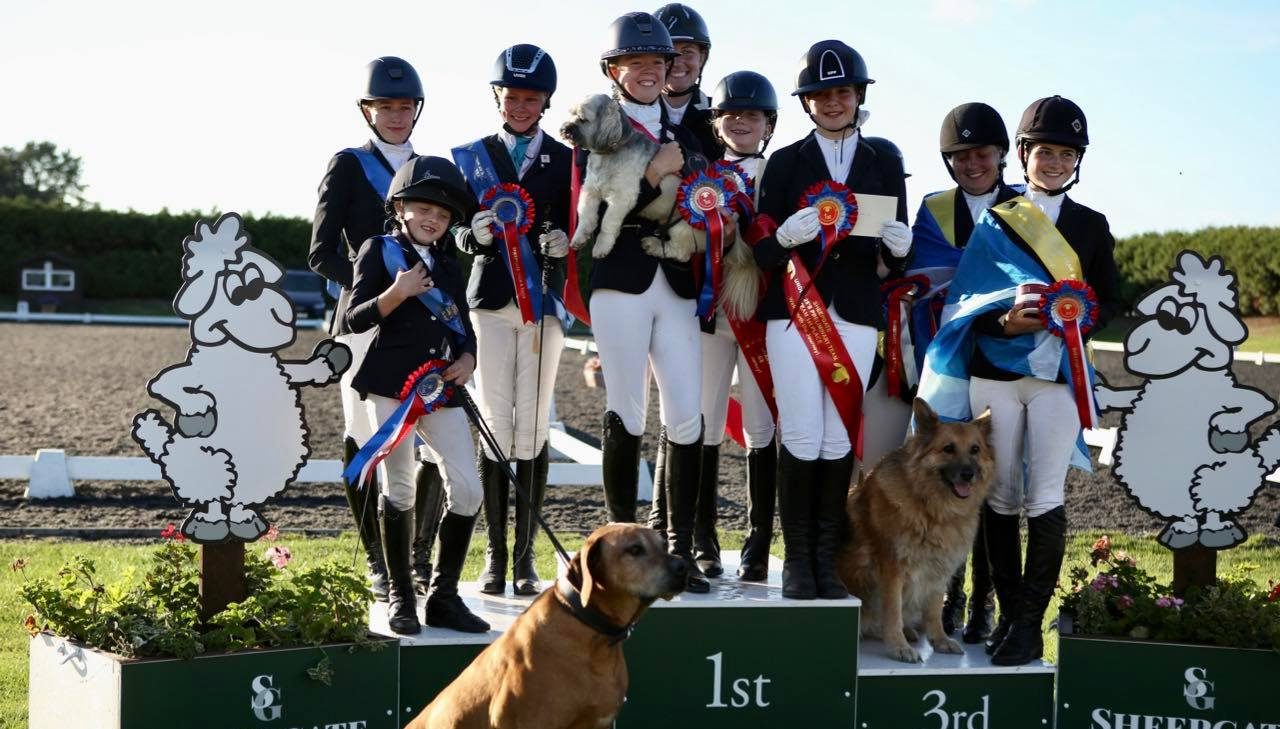Competitions at Sheepgate - Sheepgate Equestrian